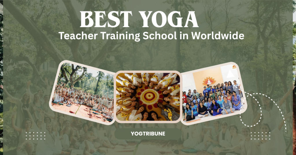 10 Best Yoga Teacher Training School in 2026 Worldwide